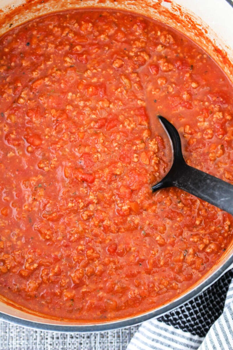 Healthy Spaghetti Sauce (with Vegetables)