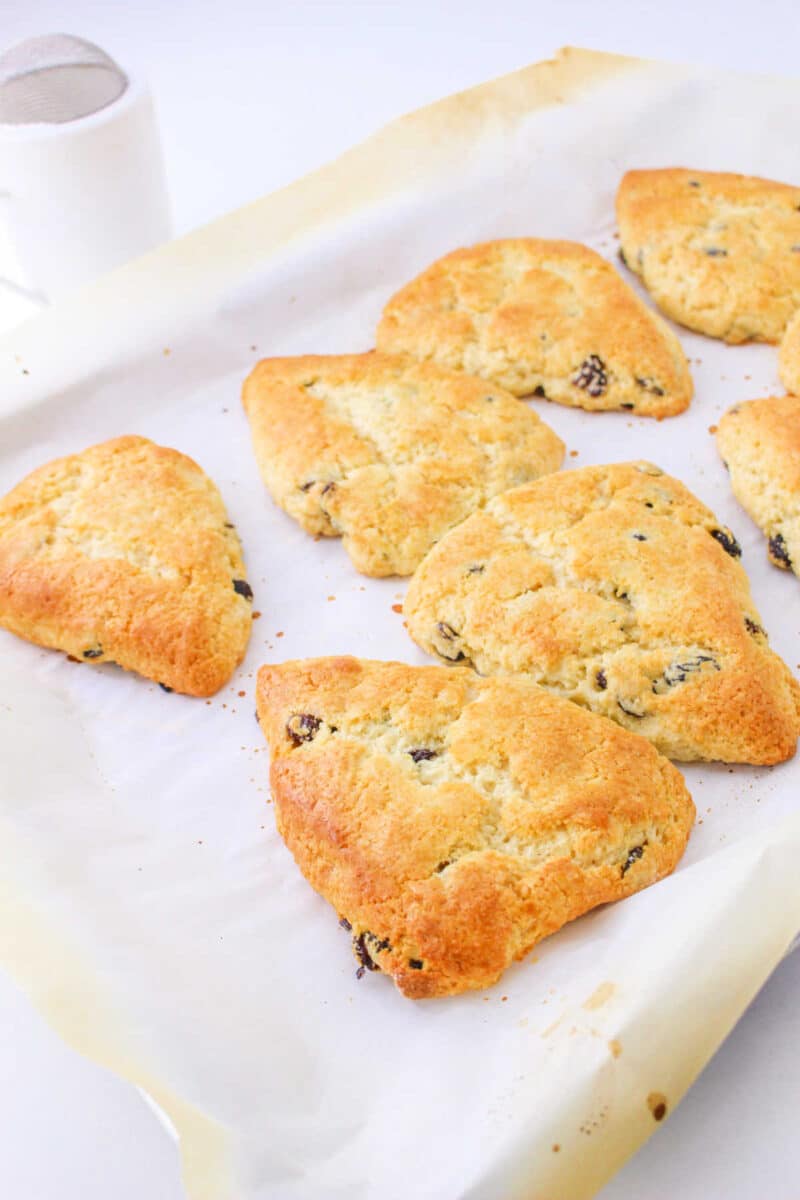 Bisquick Scones (with Chocolate Chips)