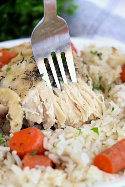 Frozen Chicken and Rice Instant Pot (with Vegetables)