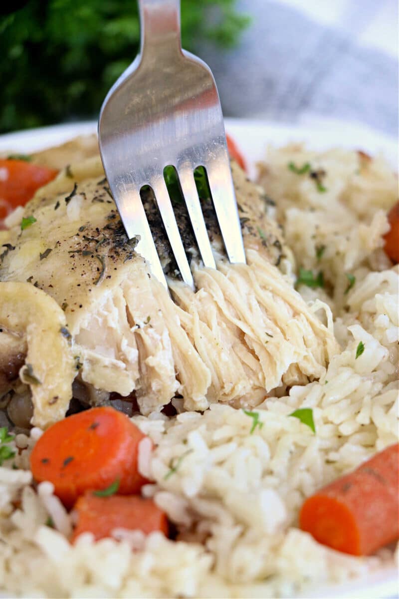 Frozen Chicken and Rice Instant Pot (with Vegetables)