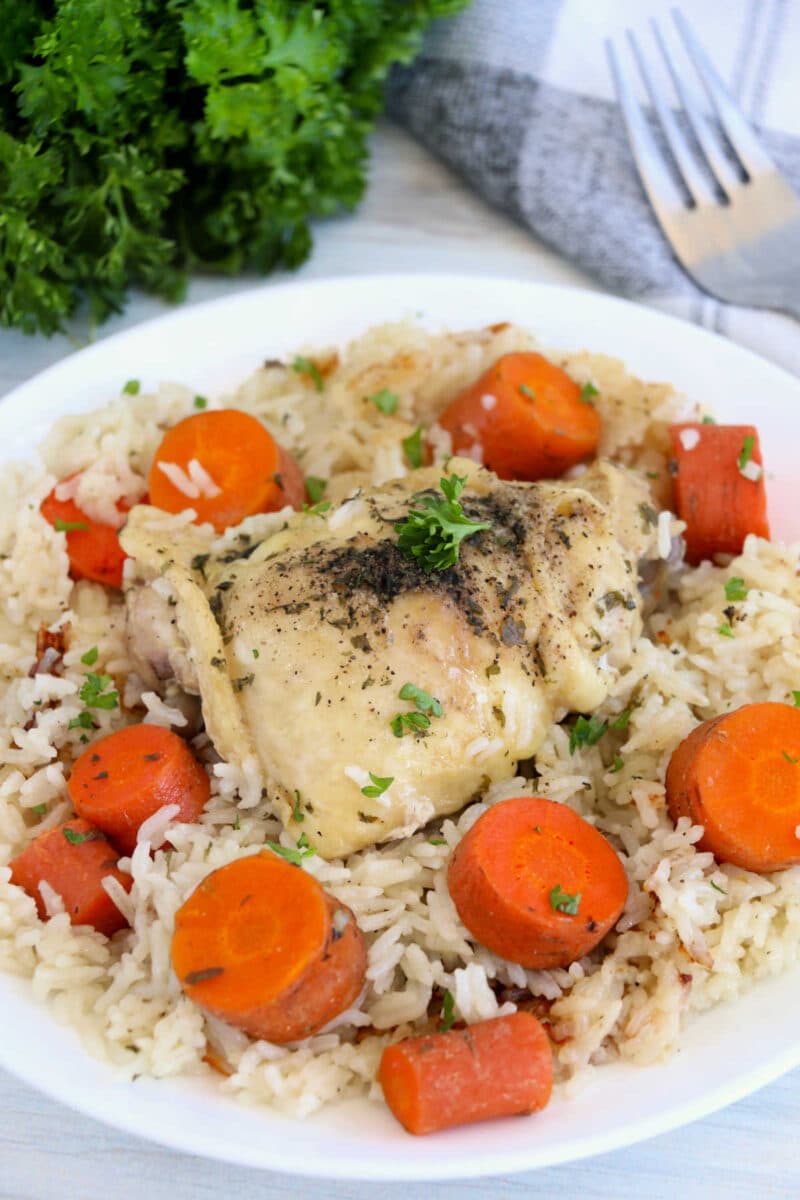 Frozen Chicken and Rice Instant Pot (with Vegetables)
