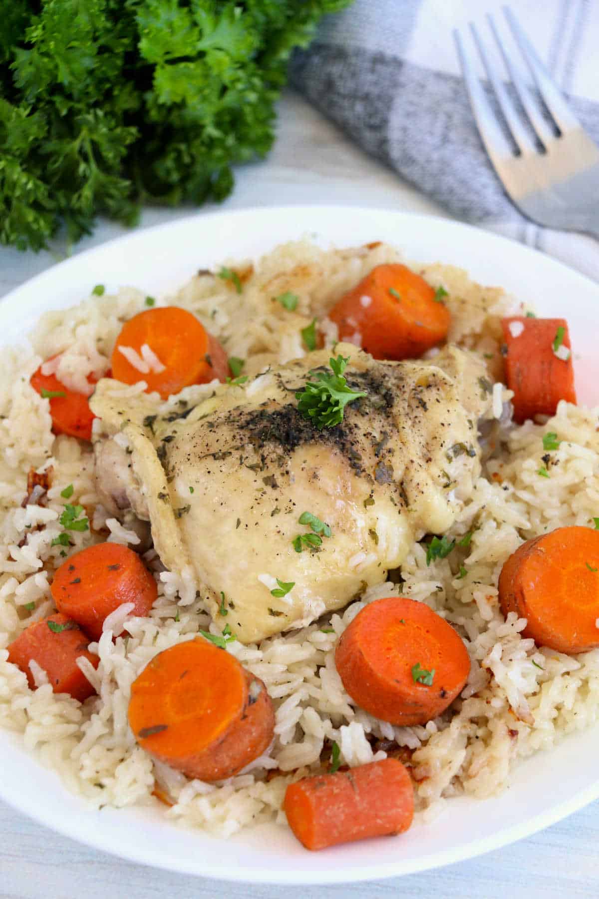 Frozen Chicken and Rice Instant Pot (with Vegetables)