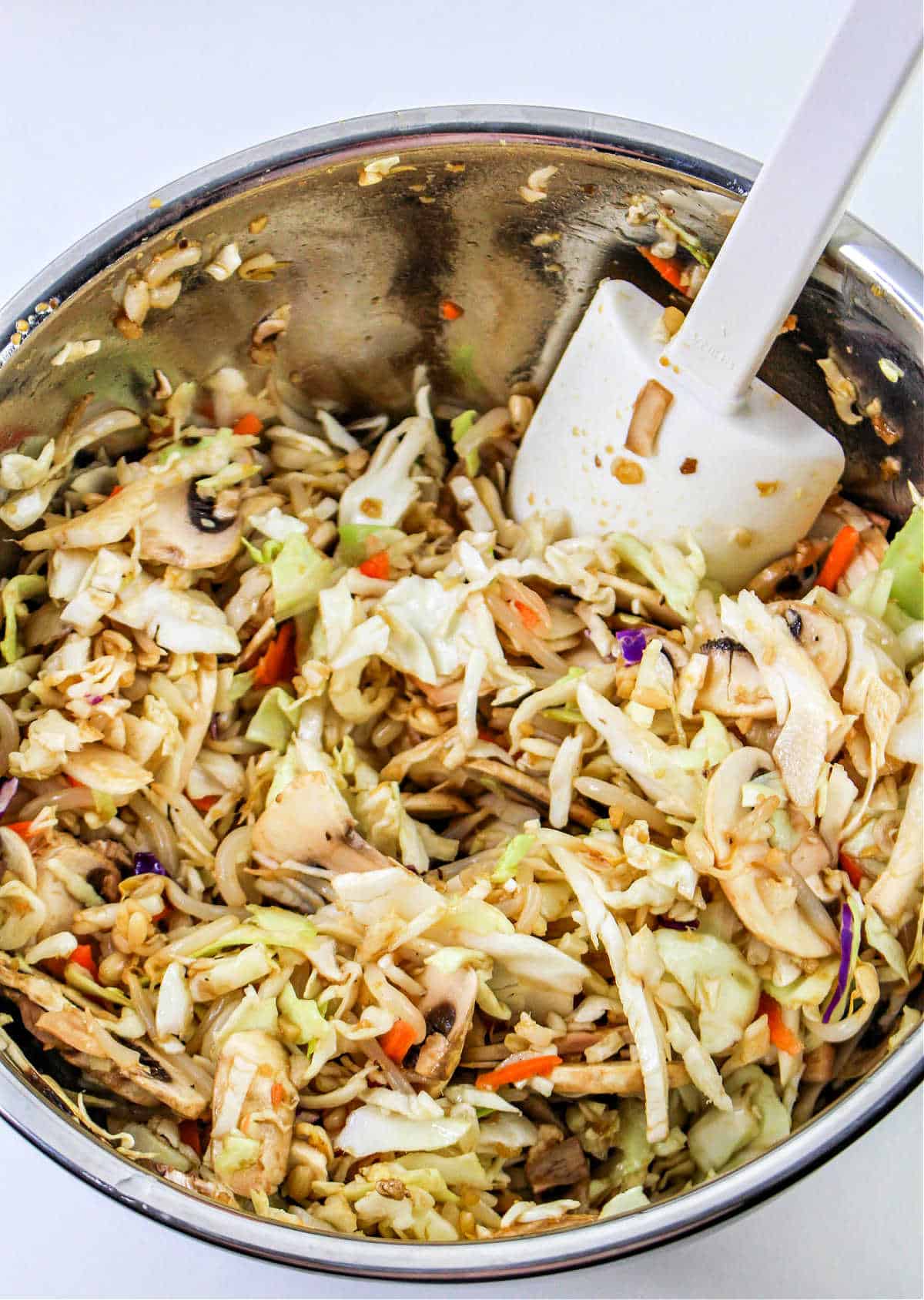 Air Fryer Spring Rolls (No Meat)