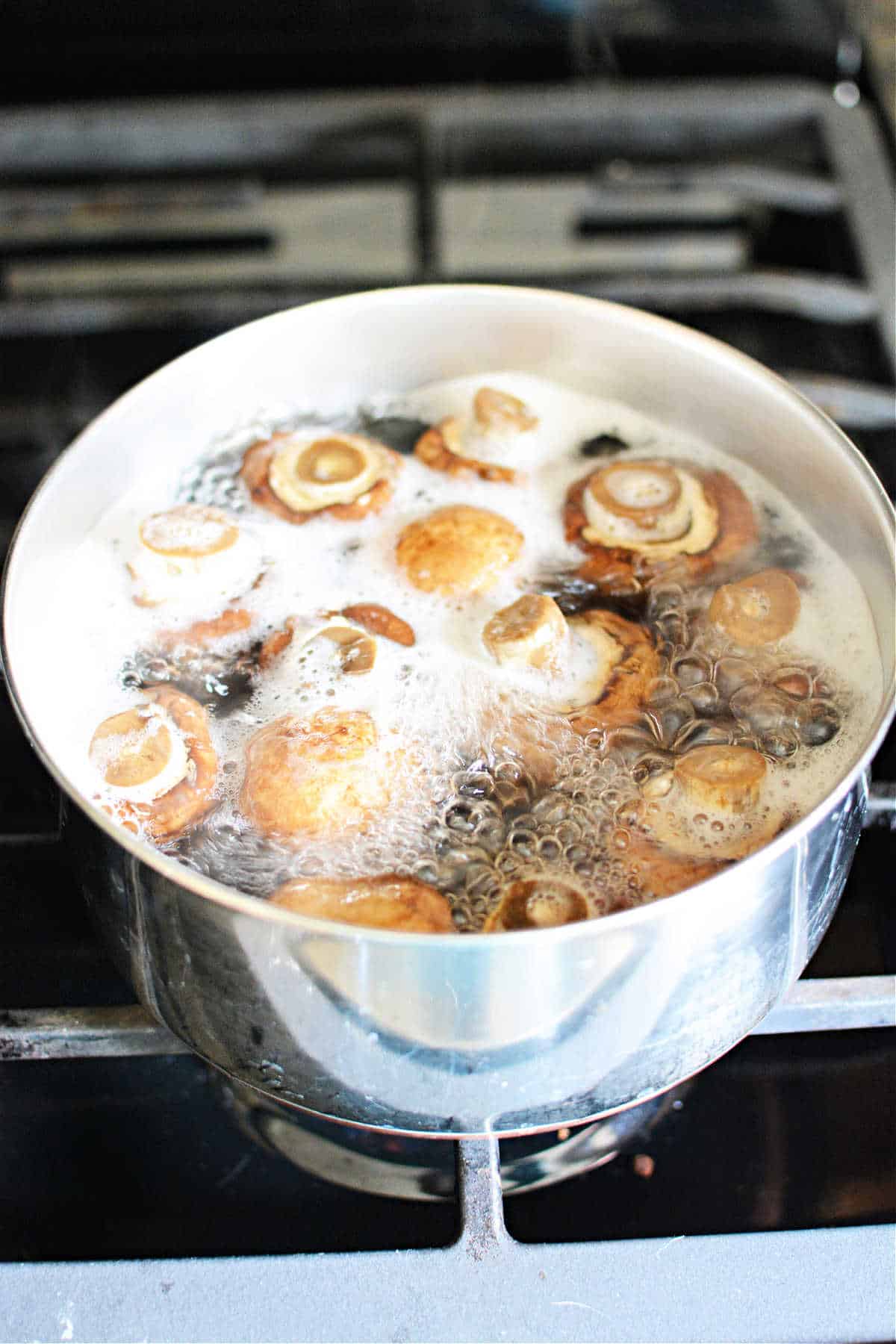 how to cook mushrooms meme