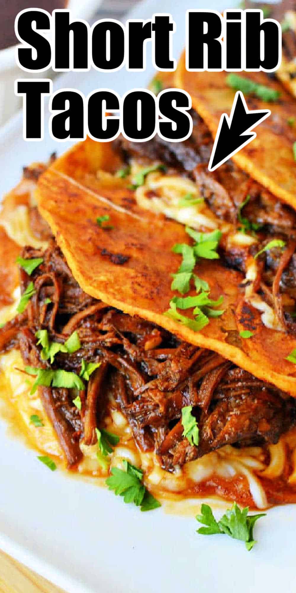 Birria Short Rib Tacos (in Oven)