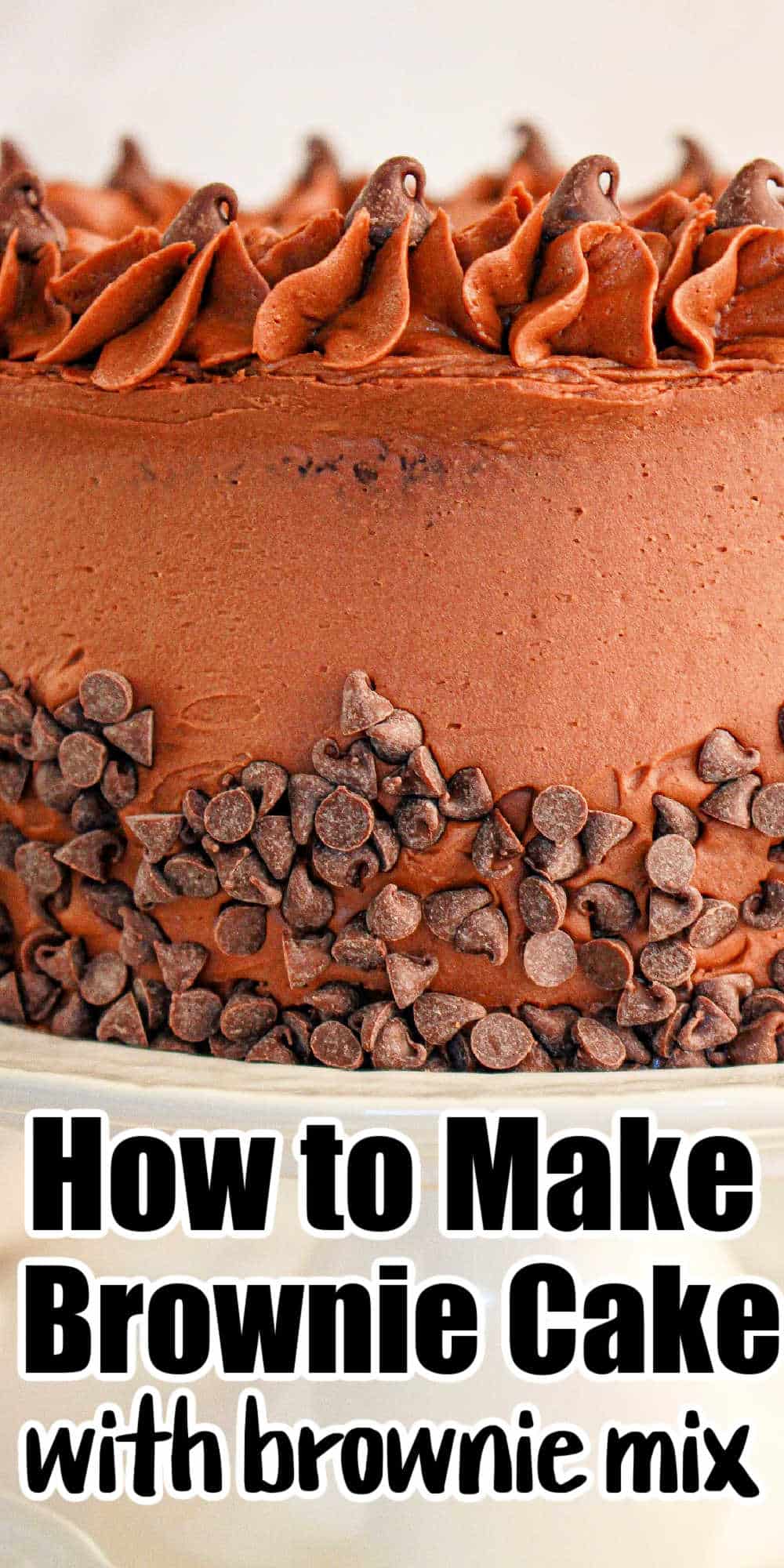 Brownie Cake (Made with Brownie Mix)